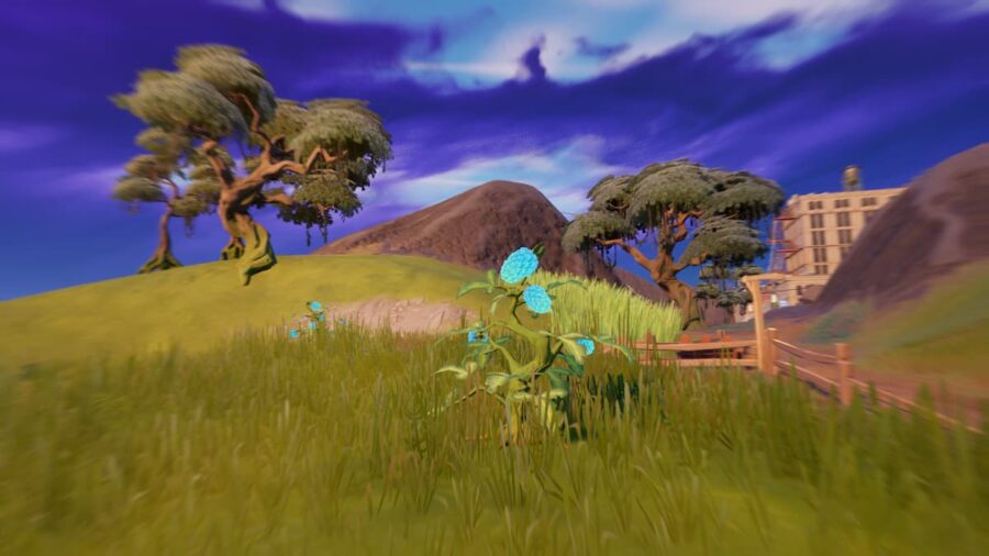 ¿Dónde encontrar un Klomberry en Fortnite? - MundoTrucos