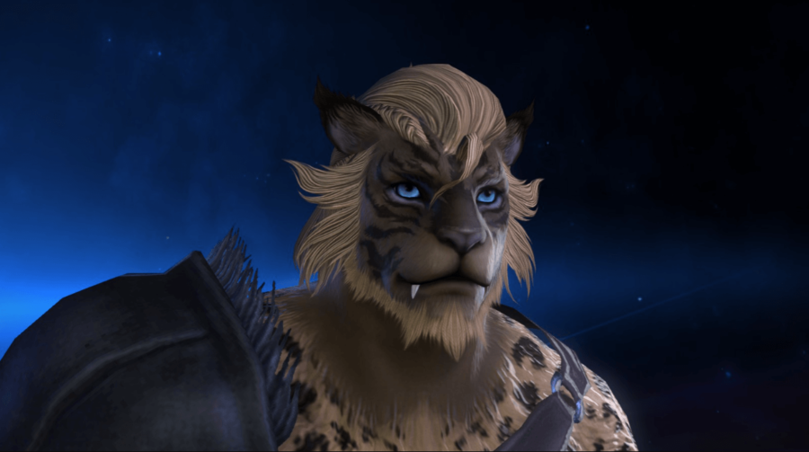 Las 11 mejores modificaciones para Final Fantasy XIV - MundoTrucos